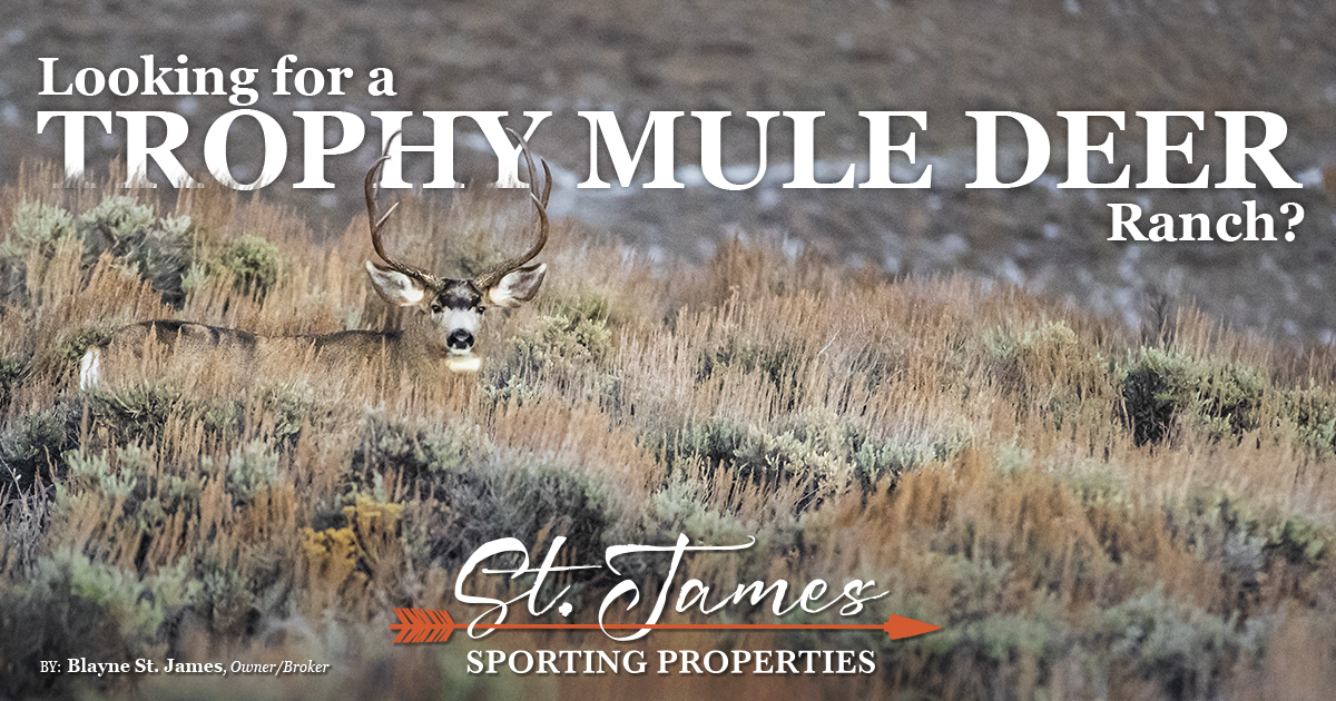 Looking for a Trophy Mule Deer Ranch? | St. James Sporting Properties