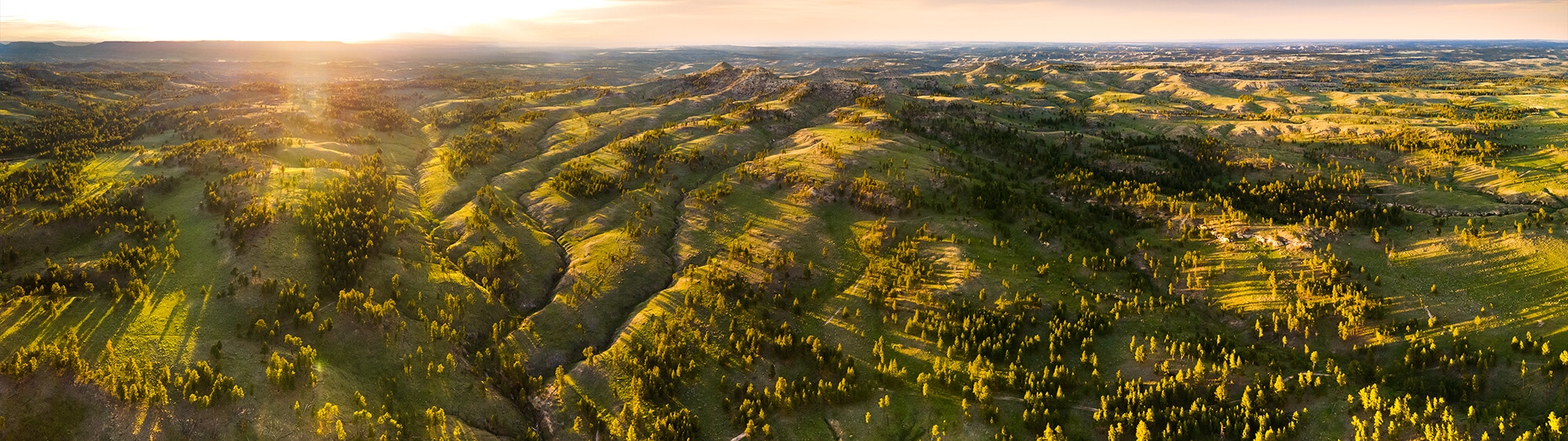 St. James Sporting Properties