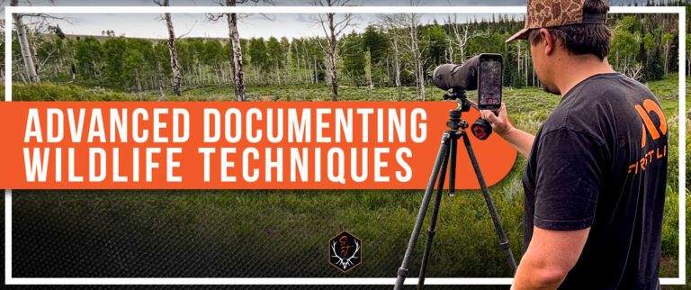 Advanced Documenting Wildlife Techniques | St. James Sporting Properties